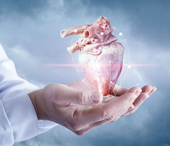 Cardiologist Gqeberha Port Elizabeth | Dr Warren Muller